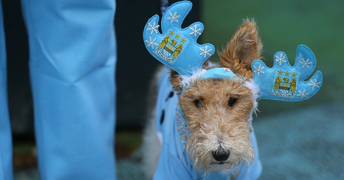 Seluk: Guardiola treats his players 'like dogs' - Football365