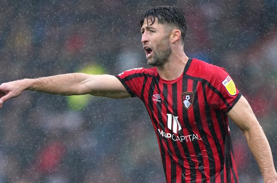 Gary Cahill heads the Championship over-35 veterans list