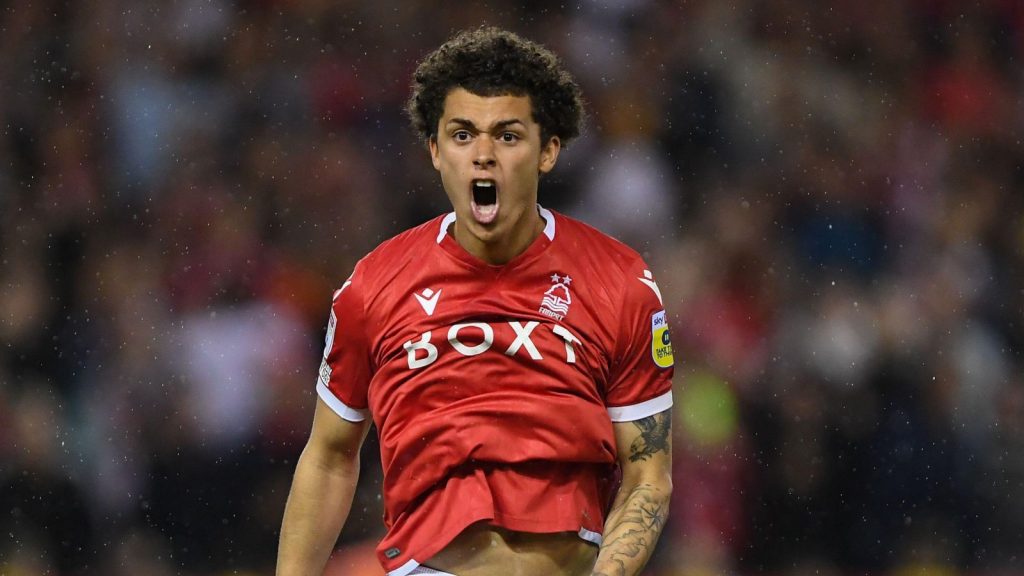 Forest could sign 30 new players by selling Brennan Johnson, but his ...