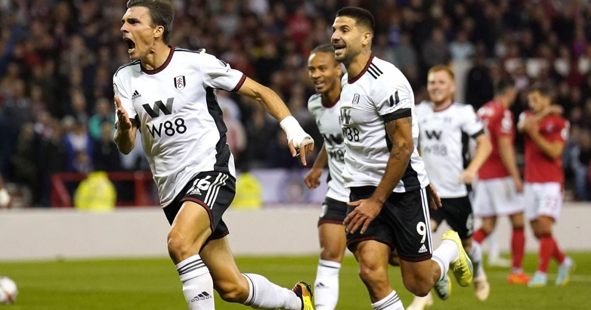 Joao Palhinha is the Premier League bargain of the season so far for Fulham