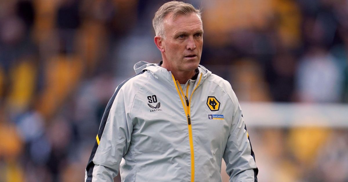 Wolves interim Davis still in the dark over new permanent boss amid ...