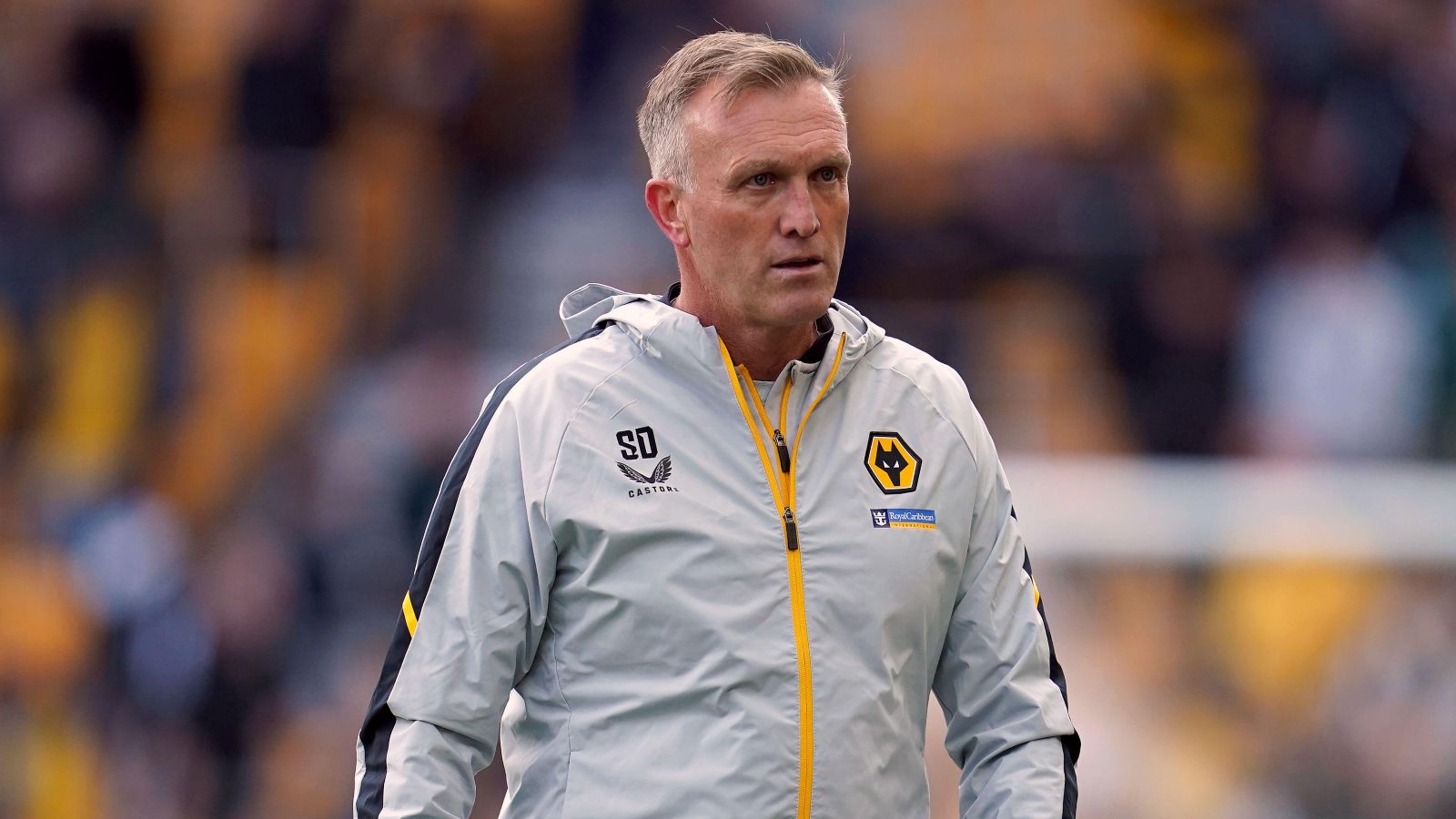 Wolves confirm Davis will stay in charge until new year after Beale ...