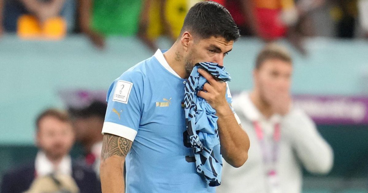 Ghana can at least drink Suarez tears on a sour day sweetened by Son ...