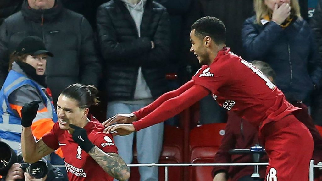 Two Liverpool transfers sum up problems of a mid-table team which wishes it could be like Brighton