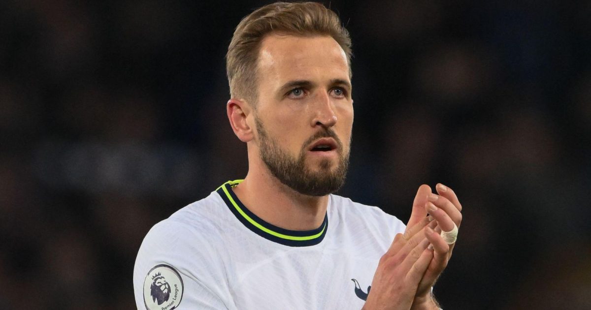 Man Utd, Newcastle 'not enough' for Kane but ex-Spurs man tells tells ...