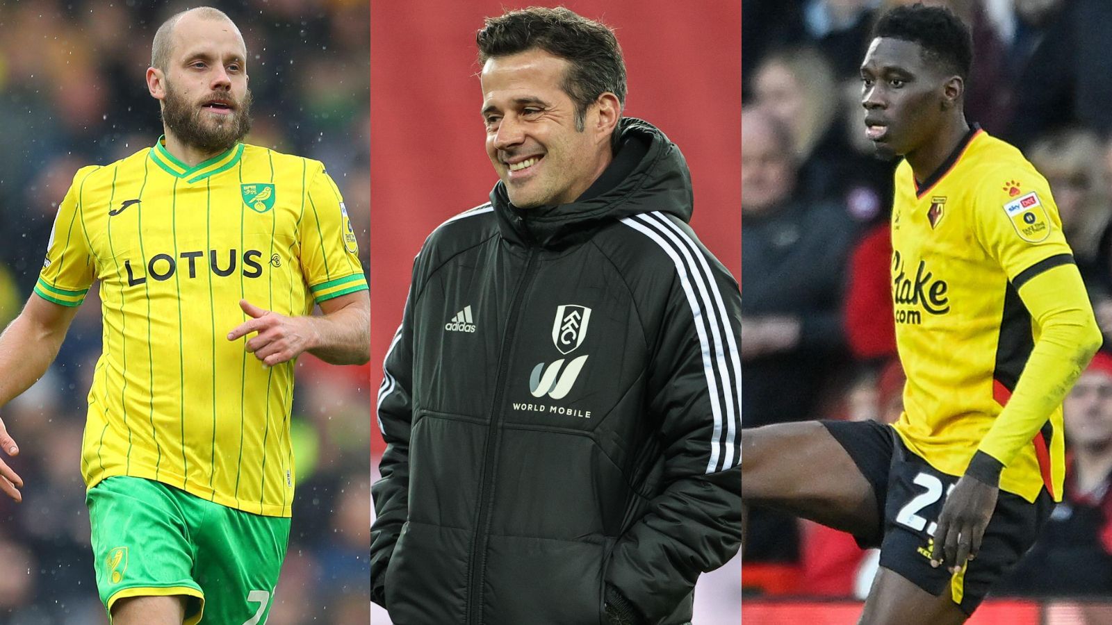 Norwich City Watford Decline But Fulham Rotherham Come Of Age In
