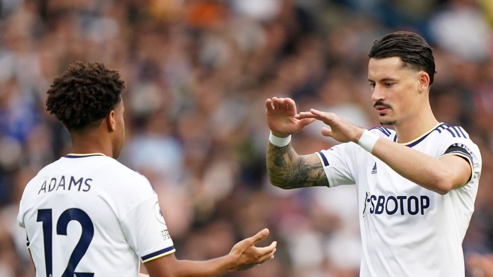 Newcastle look to gut relegated Leeds with star Whites quartet on Eddie ...