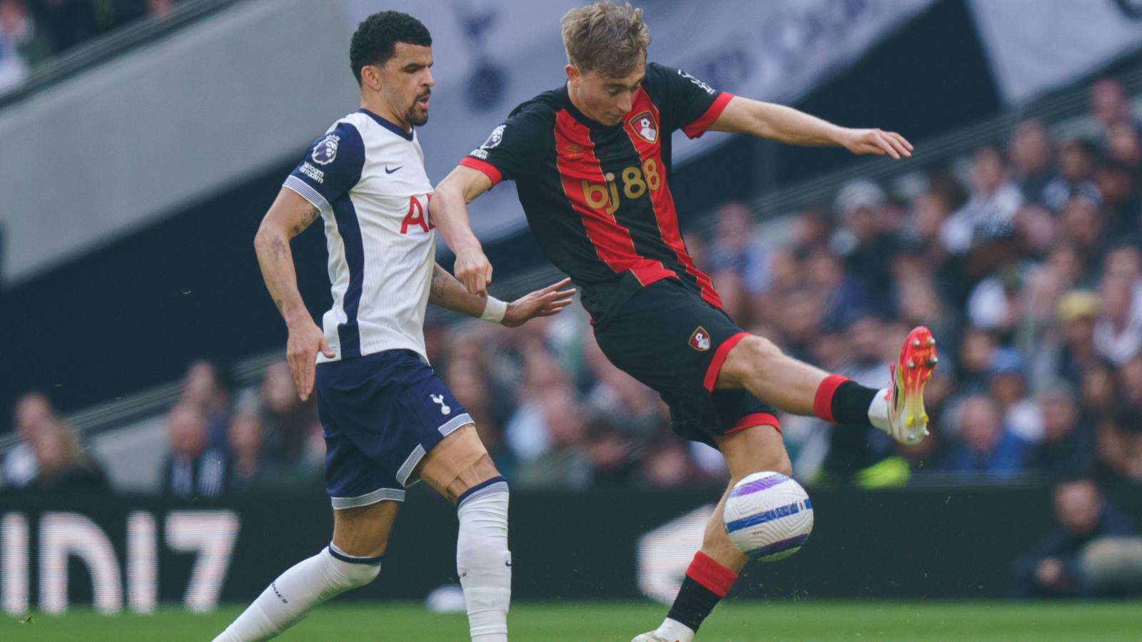 Newcastle embarrassed in ranking of Premier League signings of the season